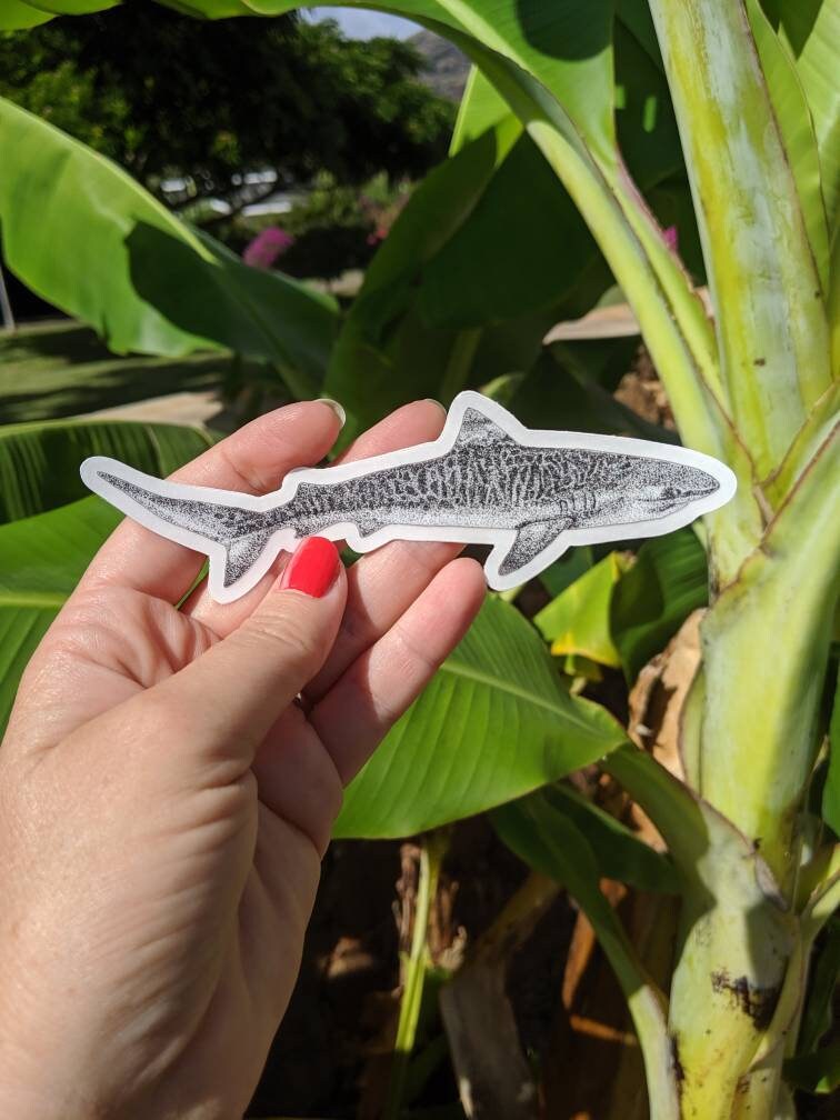 Tiger Shark Sticker Tiger Shark Decal Tiger Shark Laptop | Etsy