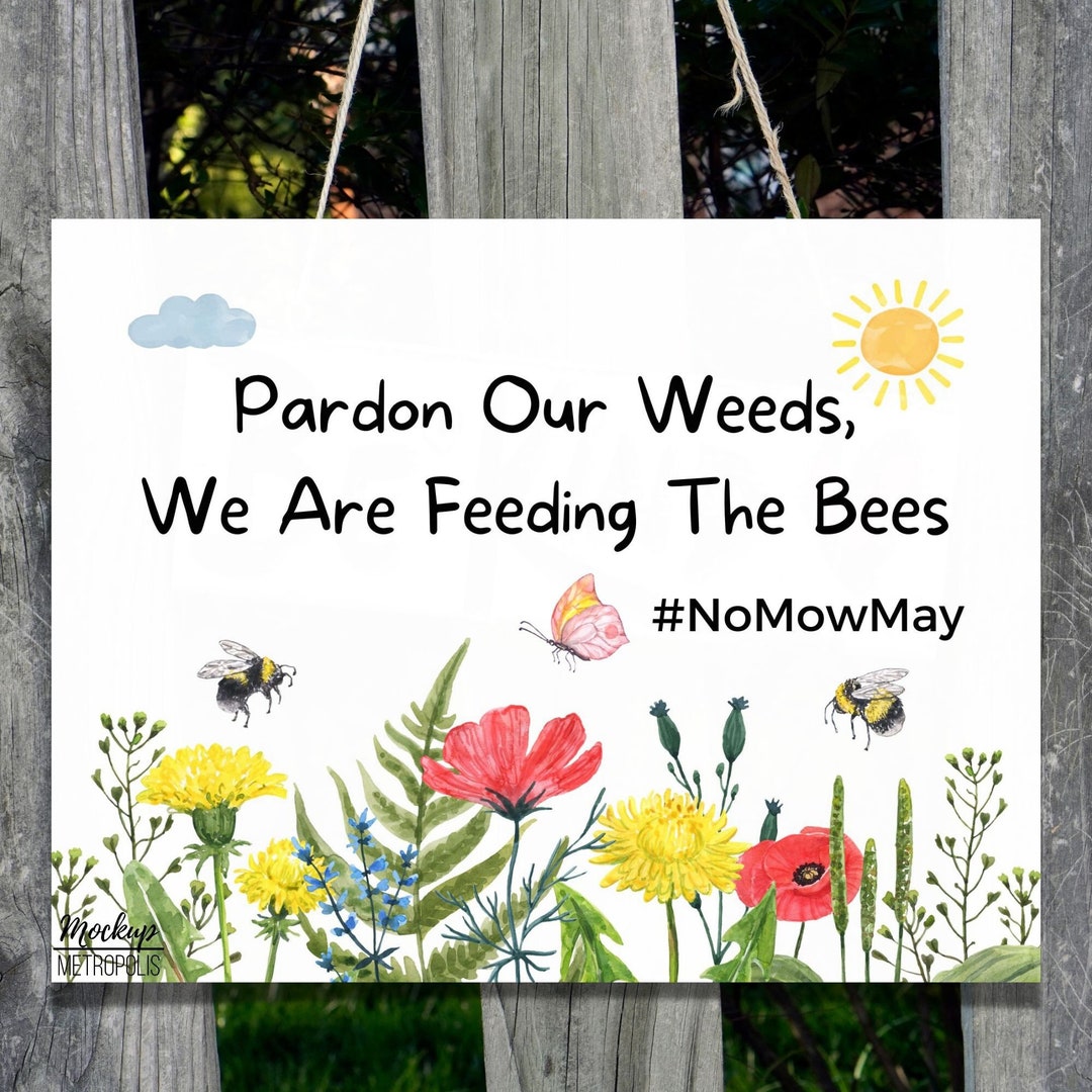No Mow May Sign: Save the Bees Yard Art (digital Download) - Etsy