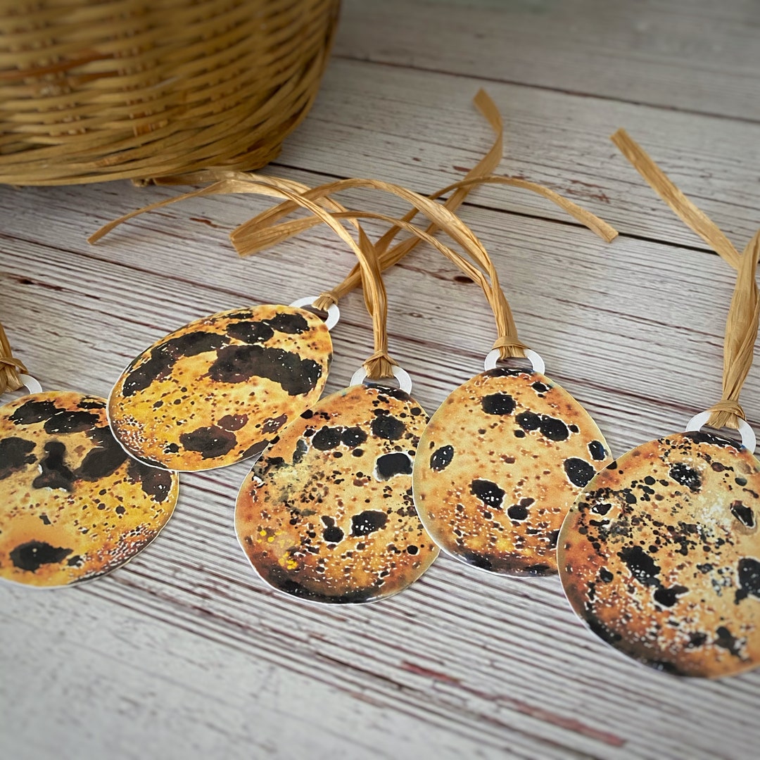 Quail Egg Gift Tags (pack of 5) | Spring | Easter | Nature | Wedding ...