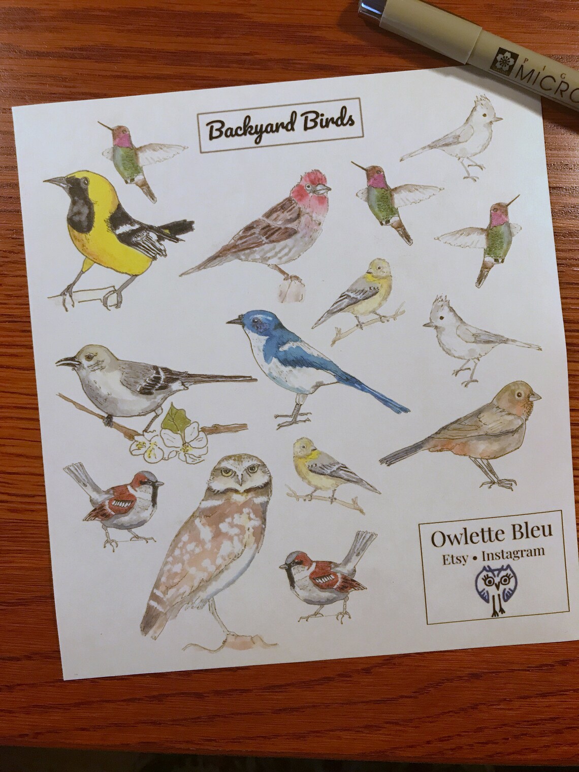 Backyard Birds Sticker Set | Etsy
