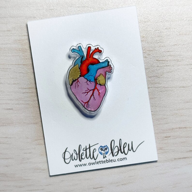 Anatomical Heart Needle Minder | Anatomy | Medical | Nurse | Science ...