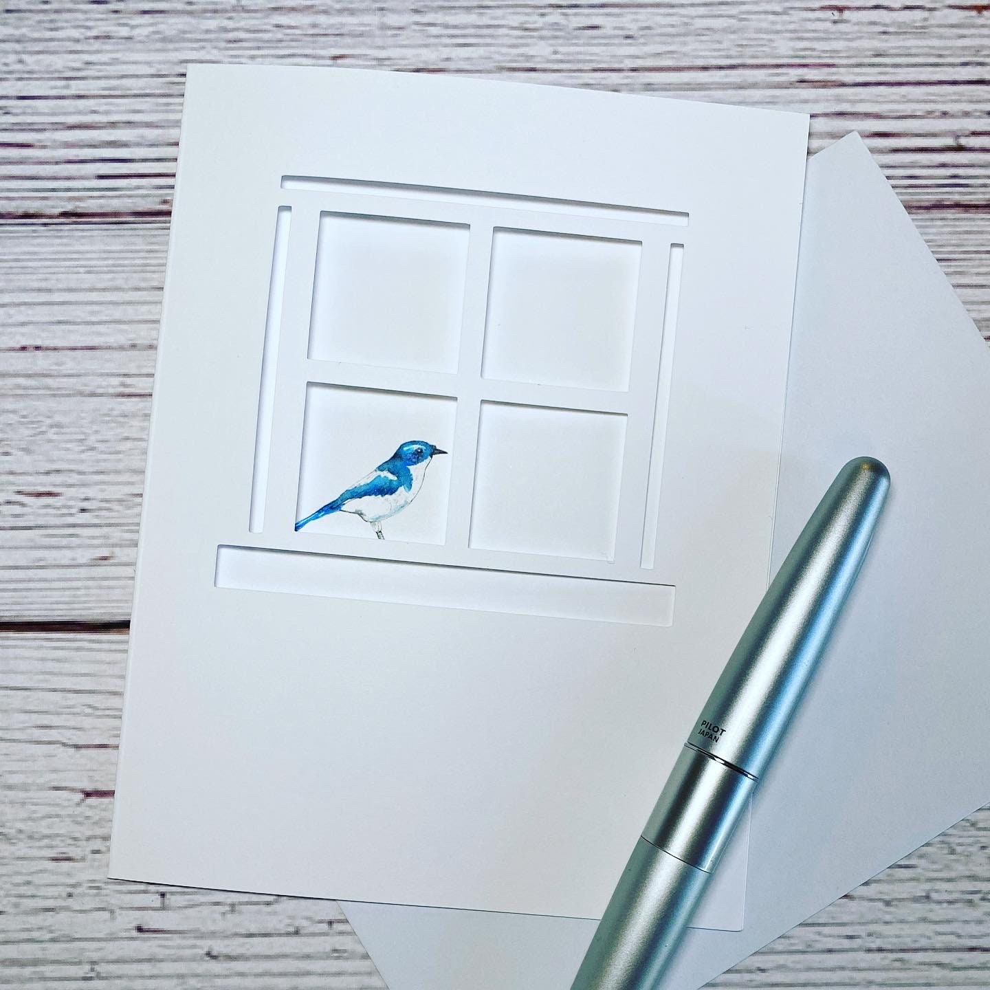 Backyard Birds Window Greeting Cards set of 5 Blank With | Etsy