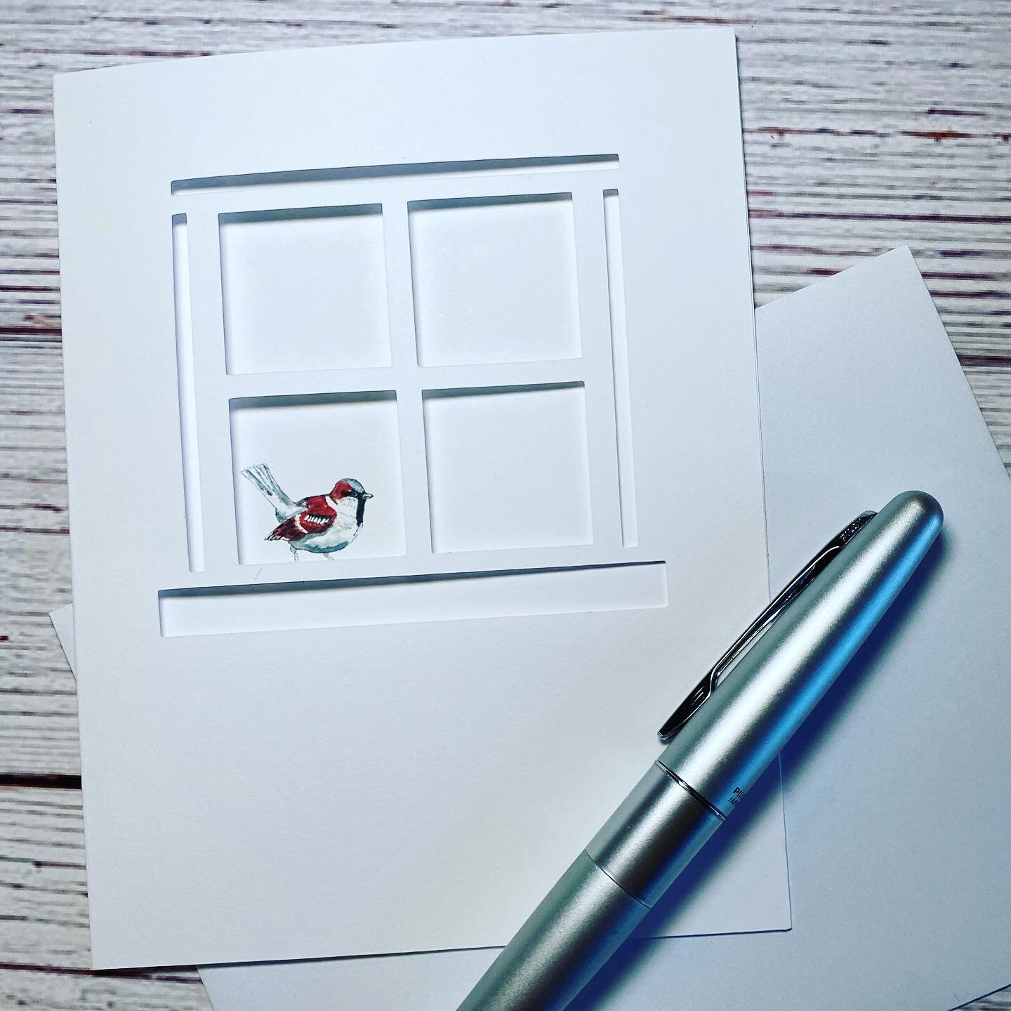 Backyard Birds Window Greeting Cards set of 5 Blank With | Etsy