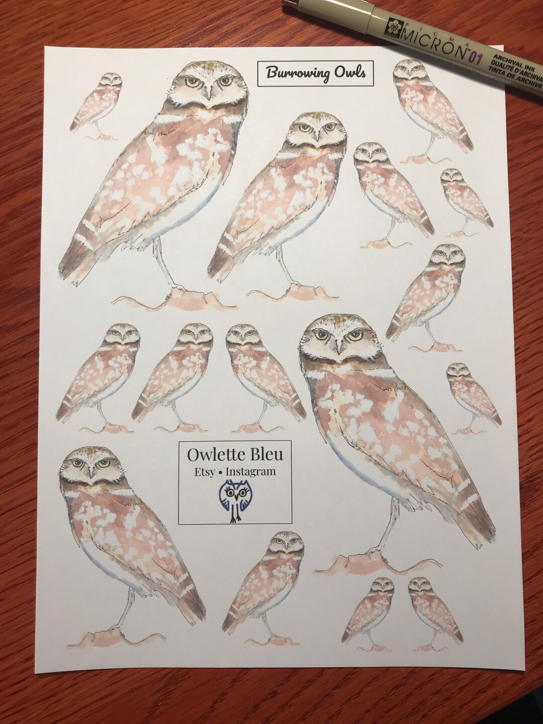 Burrowing Owl Sticker Set - Etsy