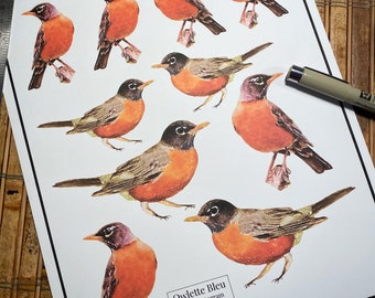 Robin Sticker - Etsy
