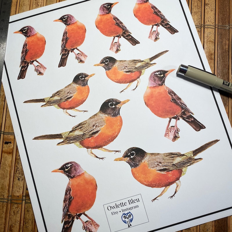 Robin Decal - Etsy