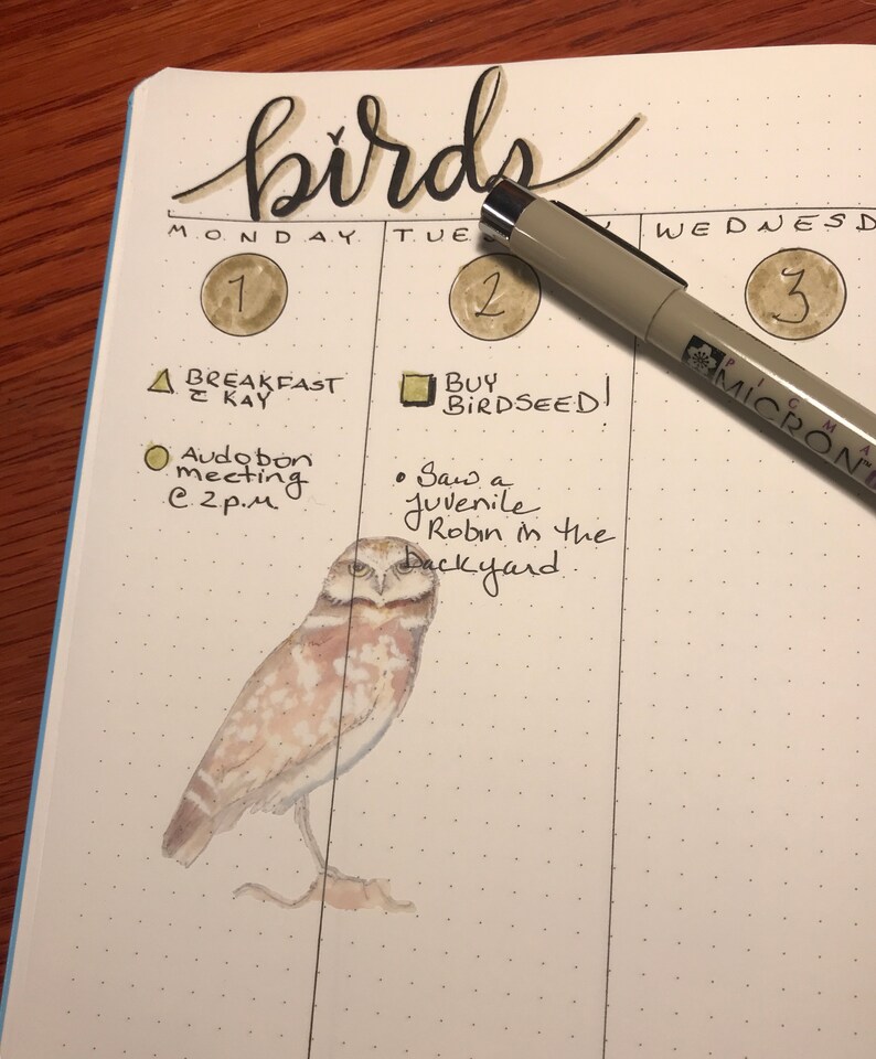 Backyard Birds Sticker Set - Etsy