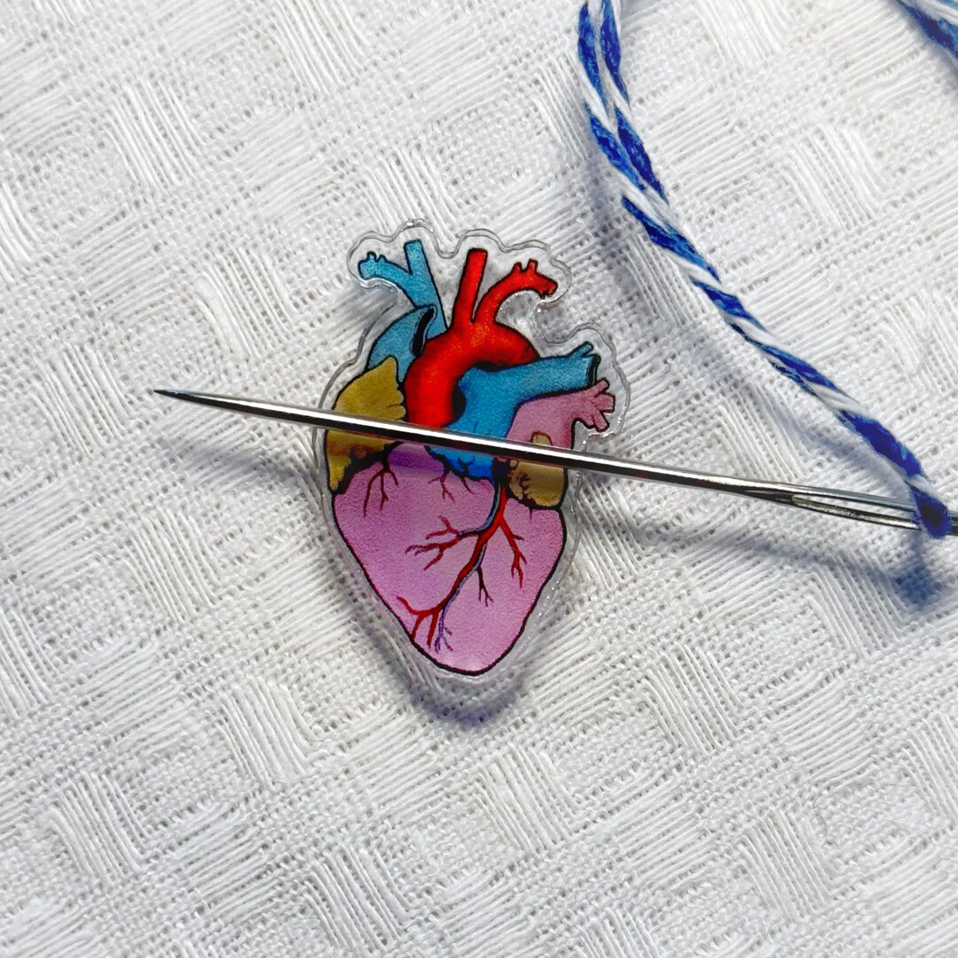 Anatomical Heart Needle Minder | Anatomy | Medical | Nurse | Science ...
