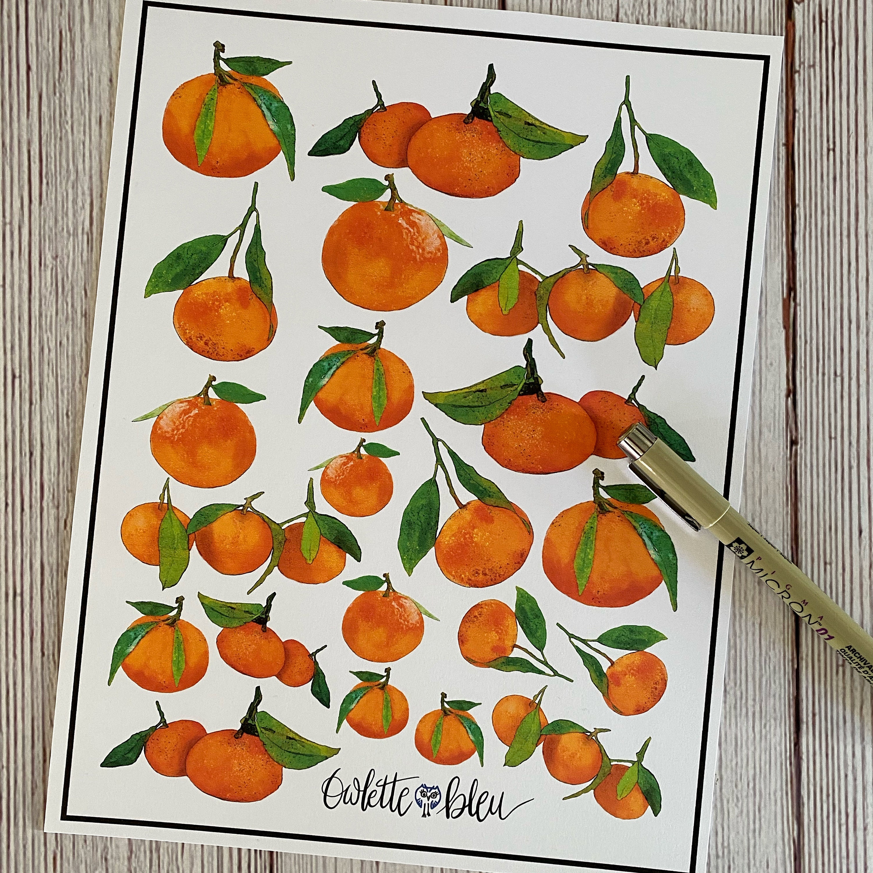 Satsuma Sticker Set Orange / Tangerine / Citrus / Good Luck | Etsy
