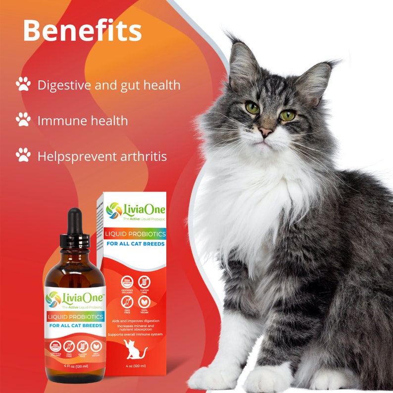 Liviaone™ Liquid Probiotics for Cats: USDA Certified Organic - Etsy