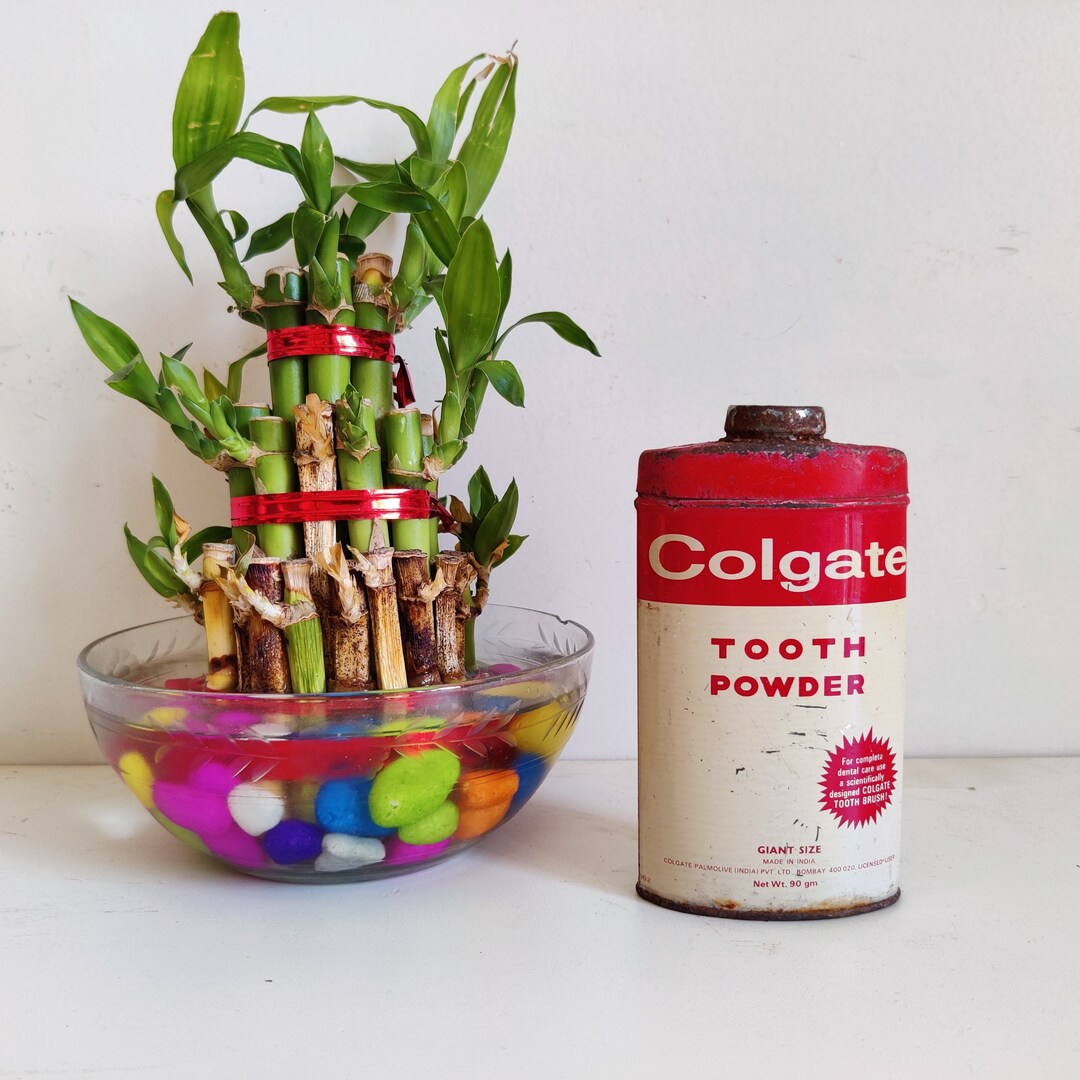 Vintage Colgate Tooth Powder Advertising Tin Box | Colgate Tin Box ...