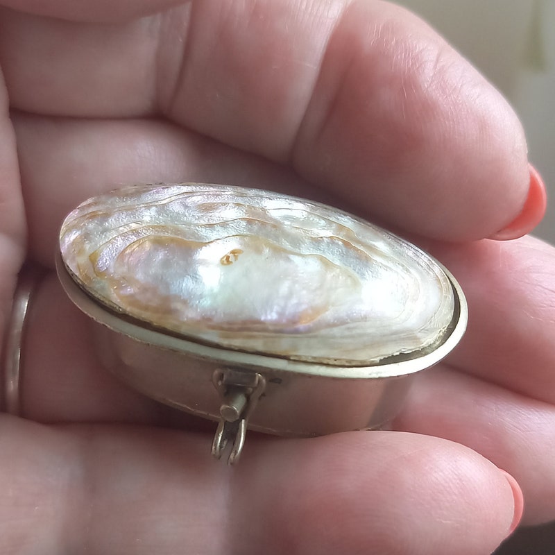 Shell Pill Box - Etsy