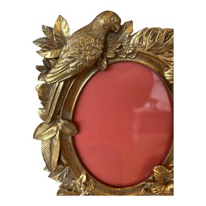 Vintage Style Gilt Gold Exotic Parrot Bird Portrait Picture Photo ...