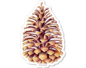 Traffic Cone Stickers, Safety Cone Stickers, Autocross Sticker, Traffic ...