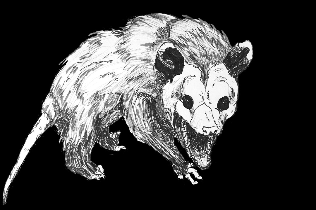 Angry Alabama Possum PNG - Etsy
