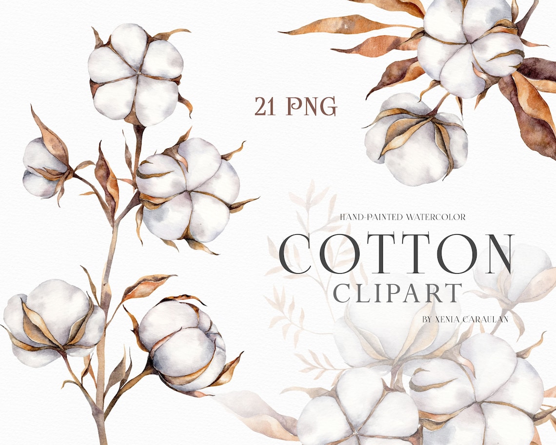 Cotton Clipart Cotton Watercolor Clipart Cotton Branches | Etsy