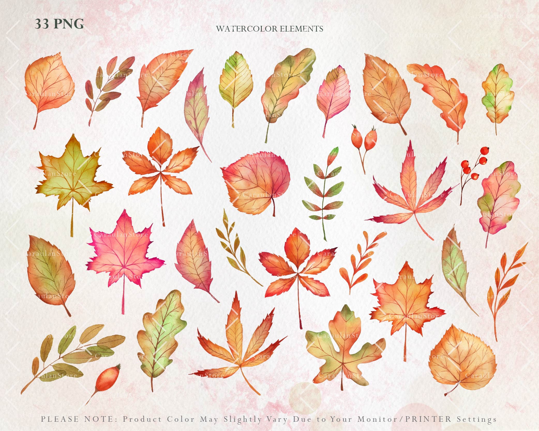 Autumn Leaves Watercolor Clipart, Fall Leaf Clip Art Watercolor ...