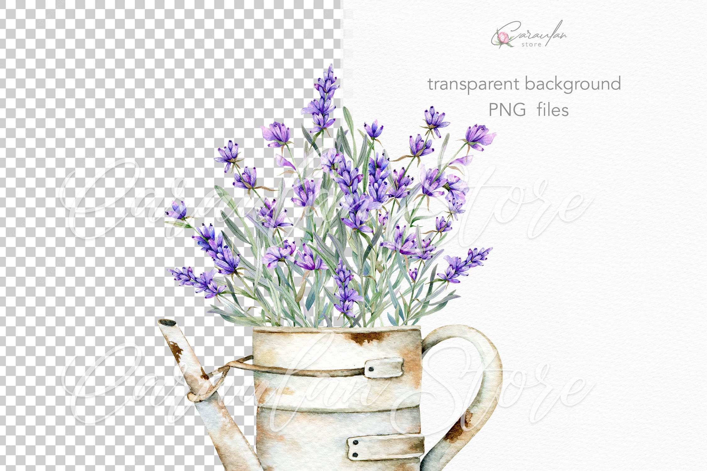 Lavender Watercolor Clipart: Provence Floral PNG (commercial Use ...
