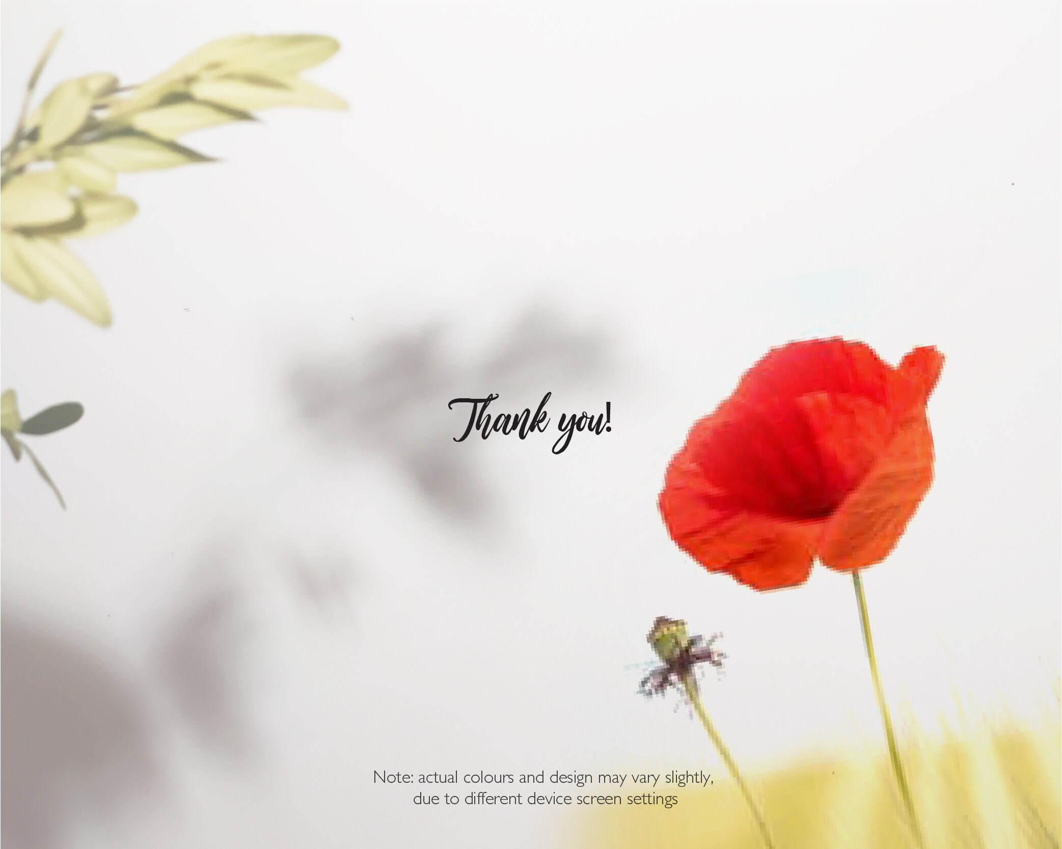 Poppy PNG, Poppy Line Art Poppy Outline, Poppy Line Art, Wedding ...