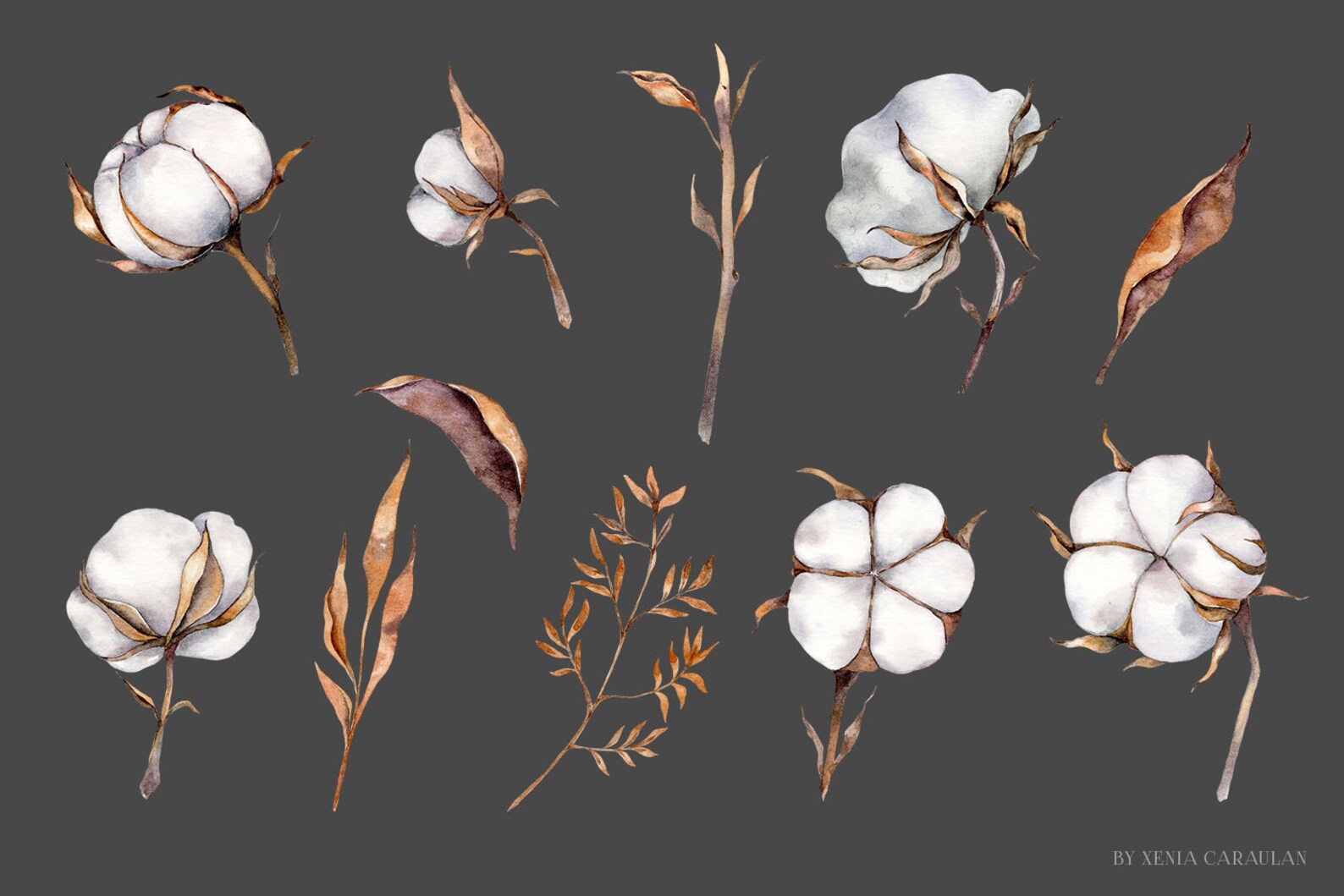 Cotton Clipart Cotton Watercolor Clipart Cotton Branches - Etsy