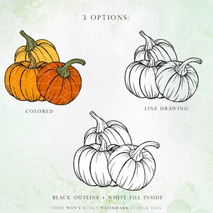 Pumpkin SVG Clipart, Pumpkin Clipart Vector, Pumpkins in SVG Format ...