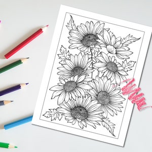 Printable Adult Coloring Page, Flower Coloring Page for Adults, Daisy ...
