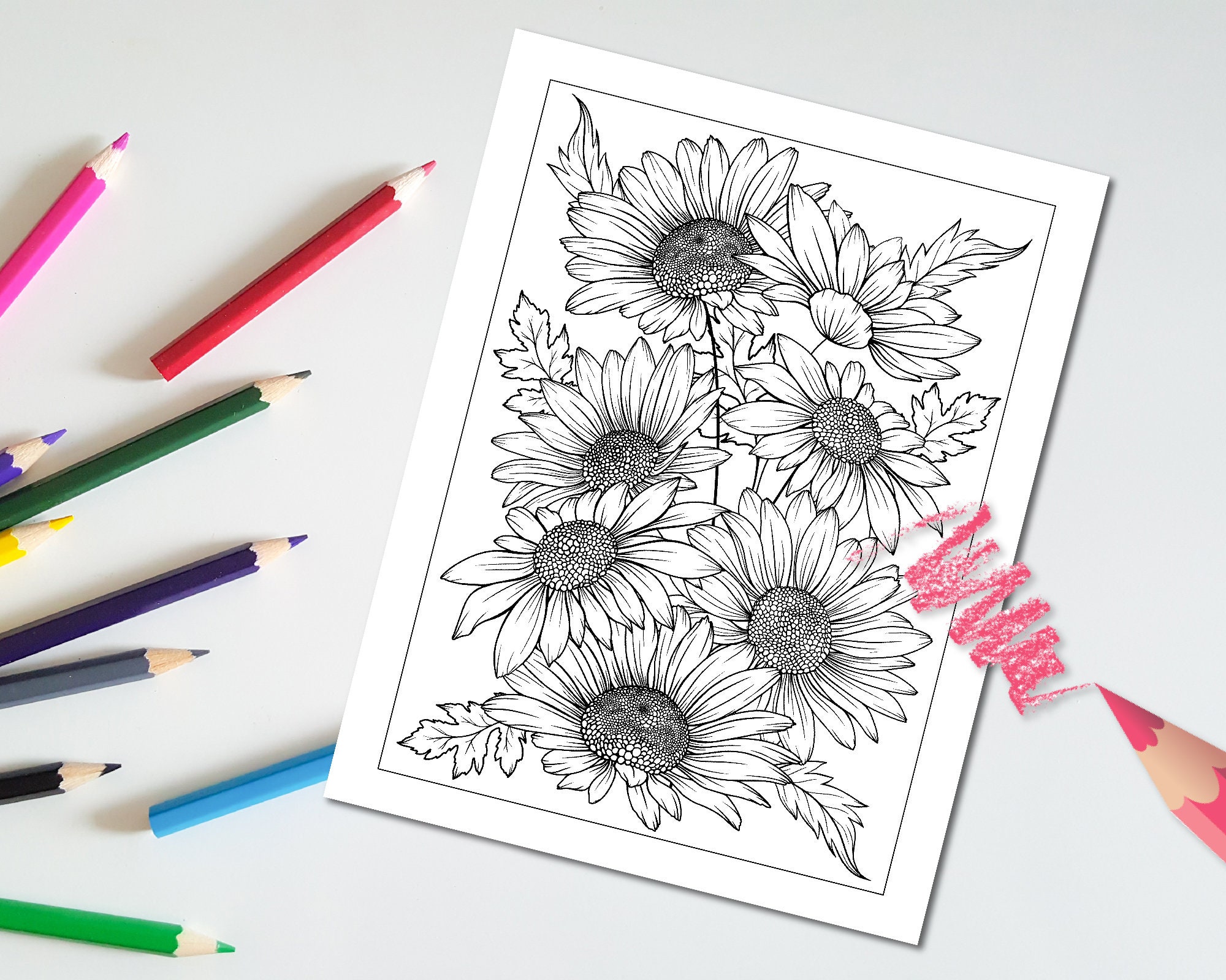 Printable Adult Coloring Page, Flower Coloring Page for Adults, Daisy ...
