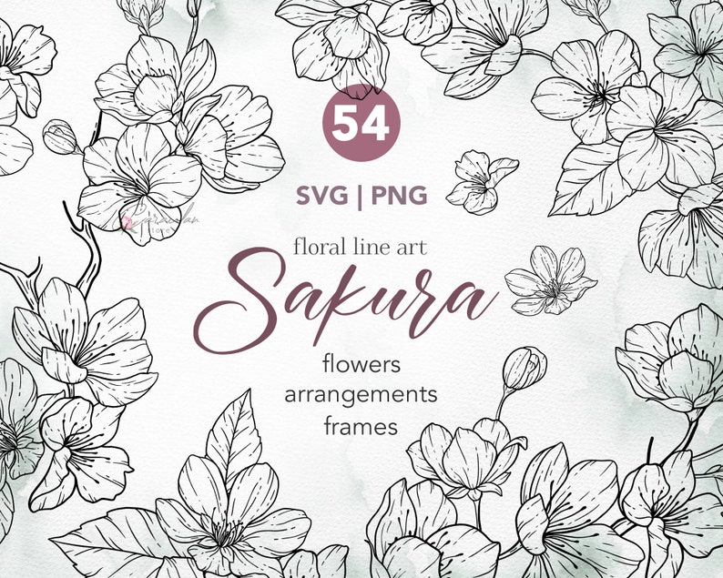 Sakura Line Art Bundle: Floral SVG Clipart, Wedding Flowers (PNG, SVG ...
