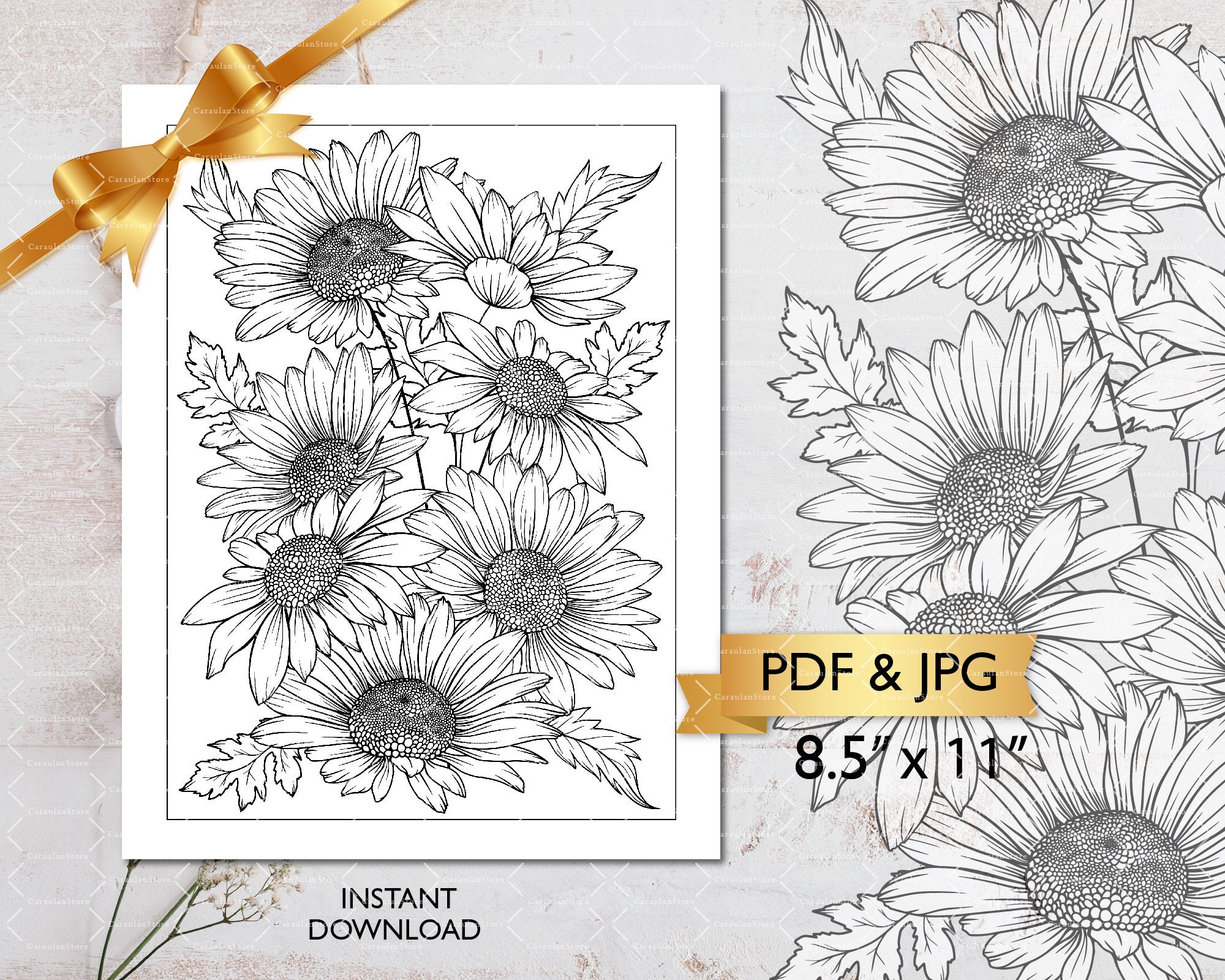 Printable Adult Coloring Page, Flower Coloring Page for Adults, Daisy ...