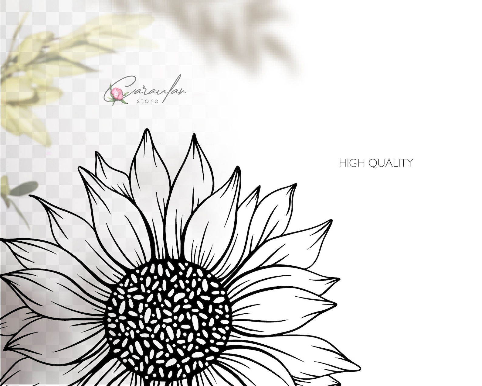 Sunflower SVG Line Art Flowers Sunflowers Line Art PNG - Etsy UK