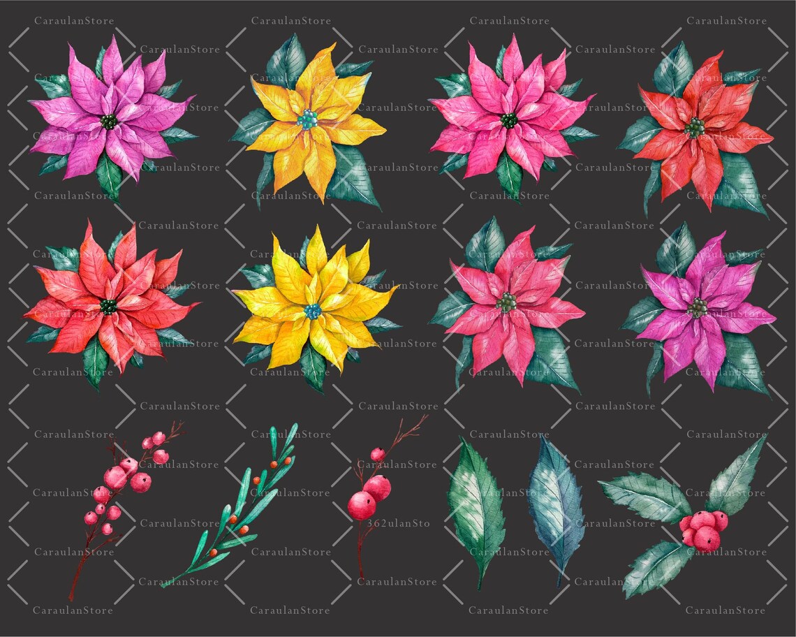 Watercolor Christmas Clipart, Poinsettia Watercolor, Christmas Floral ...