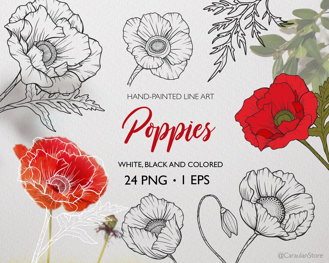 Poppy PNG, Poppy Line Art Poppy Outline, Poppy Line Art, Wedding ...