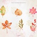 Autumn Leaves Watercolor Clipart, Fall Leaf Clip Art Watercolor ...