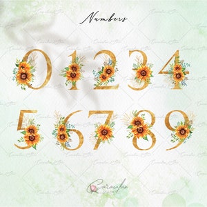 Watercolor Sunflower Alphabet, Watercolor Floral Alphabet, Floral ...