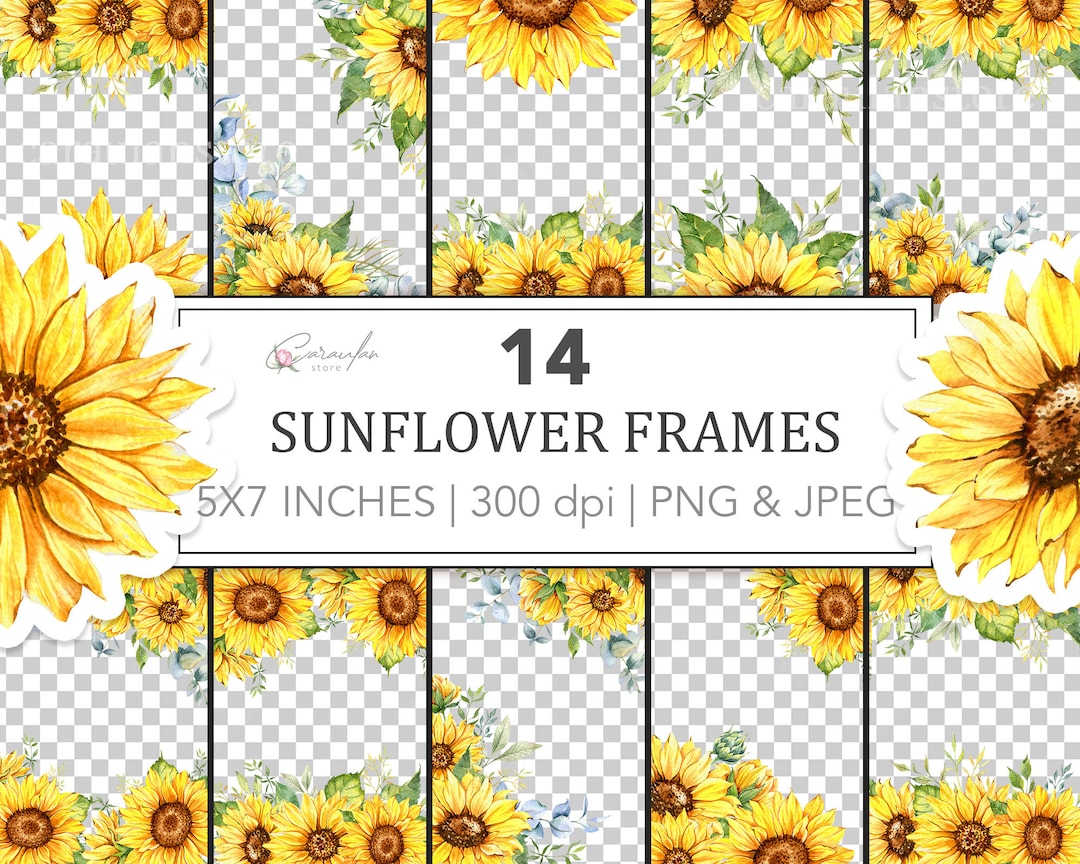 Sunflower Frames, Sunflower PNG, Sunflower Wedding Decor, Watercolor ...
