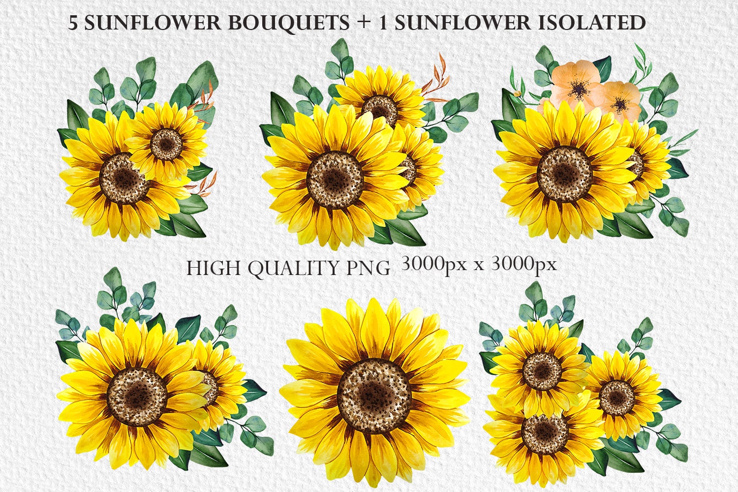 Watercolor Sunflowers Clipart, Sunflowers Frames PNG, Sunflower ...