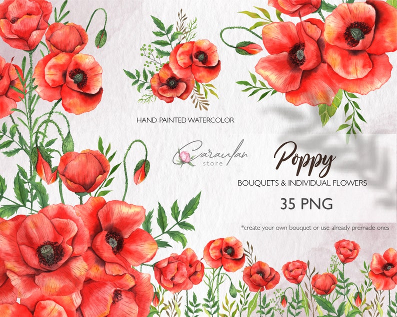 Watercolor Poppy Bouquets Clipart: Floral Wedding PNG (digital Download ...