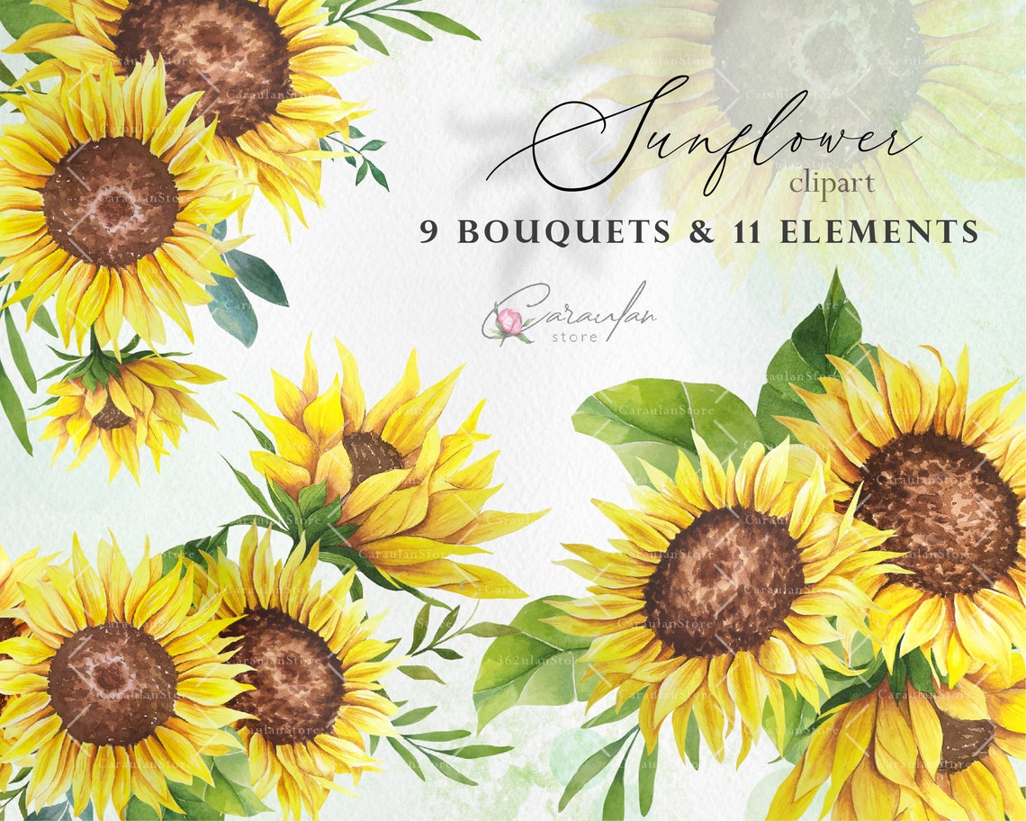 Sunflower Clipart Watercolor Watercolor Sunflower Bouquets - Etsy