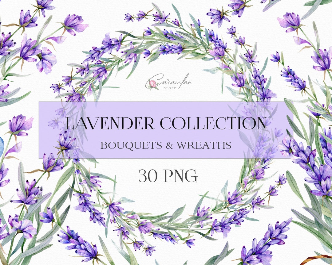 Lavender Watercolor Clipart, Lavender Bouquet PNG, Lavender Wreath PNG ...