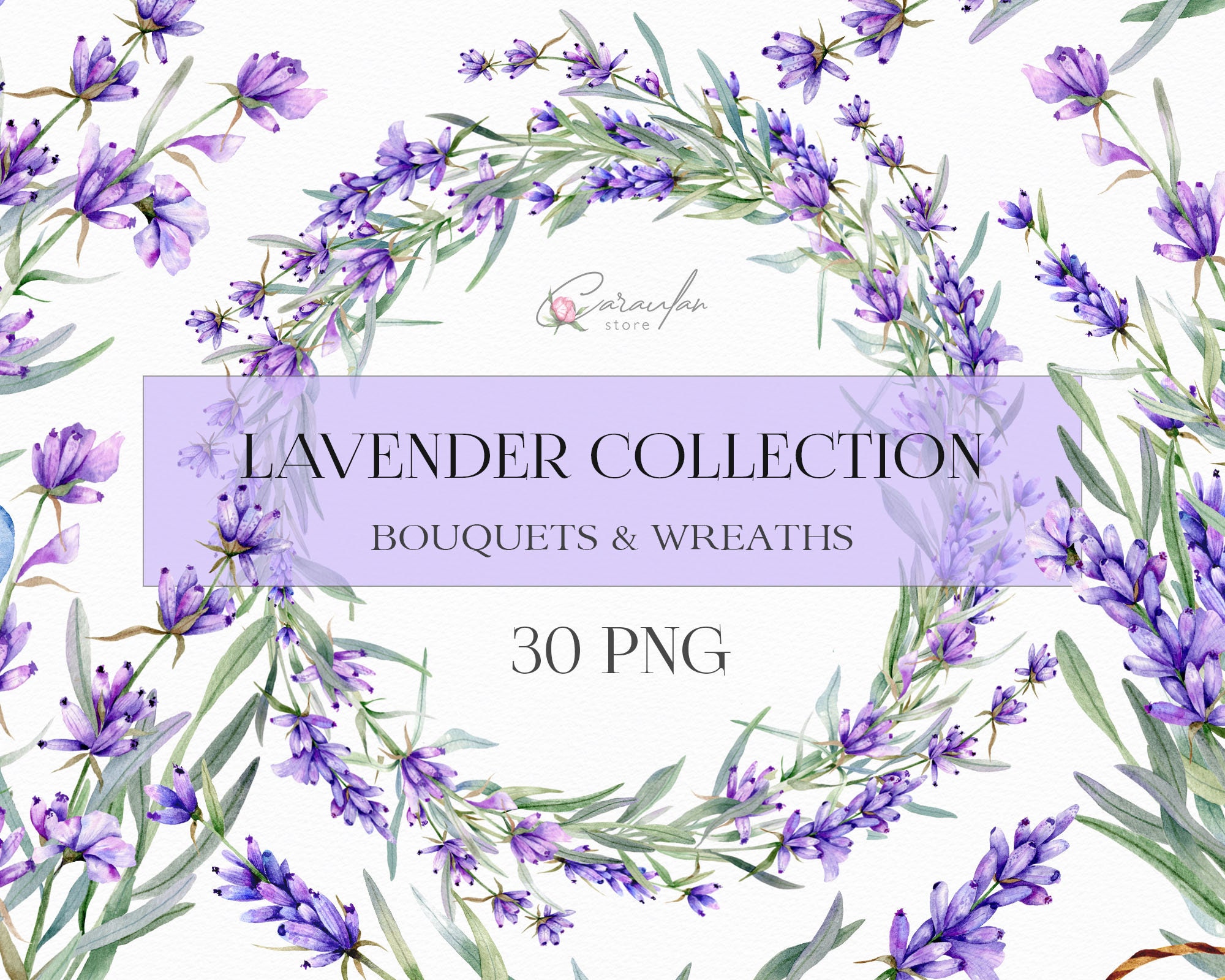 Lavender Watercolor Clipart Lavender Bouquet PNG Lavender - Etsy