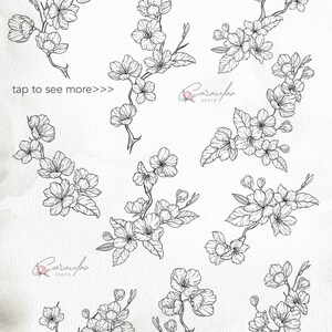 Floral Line Illustratios, Botanical SVG Clipart, Sakura Line Art ...