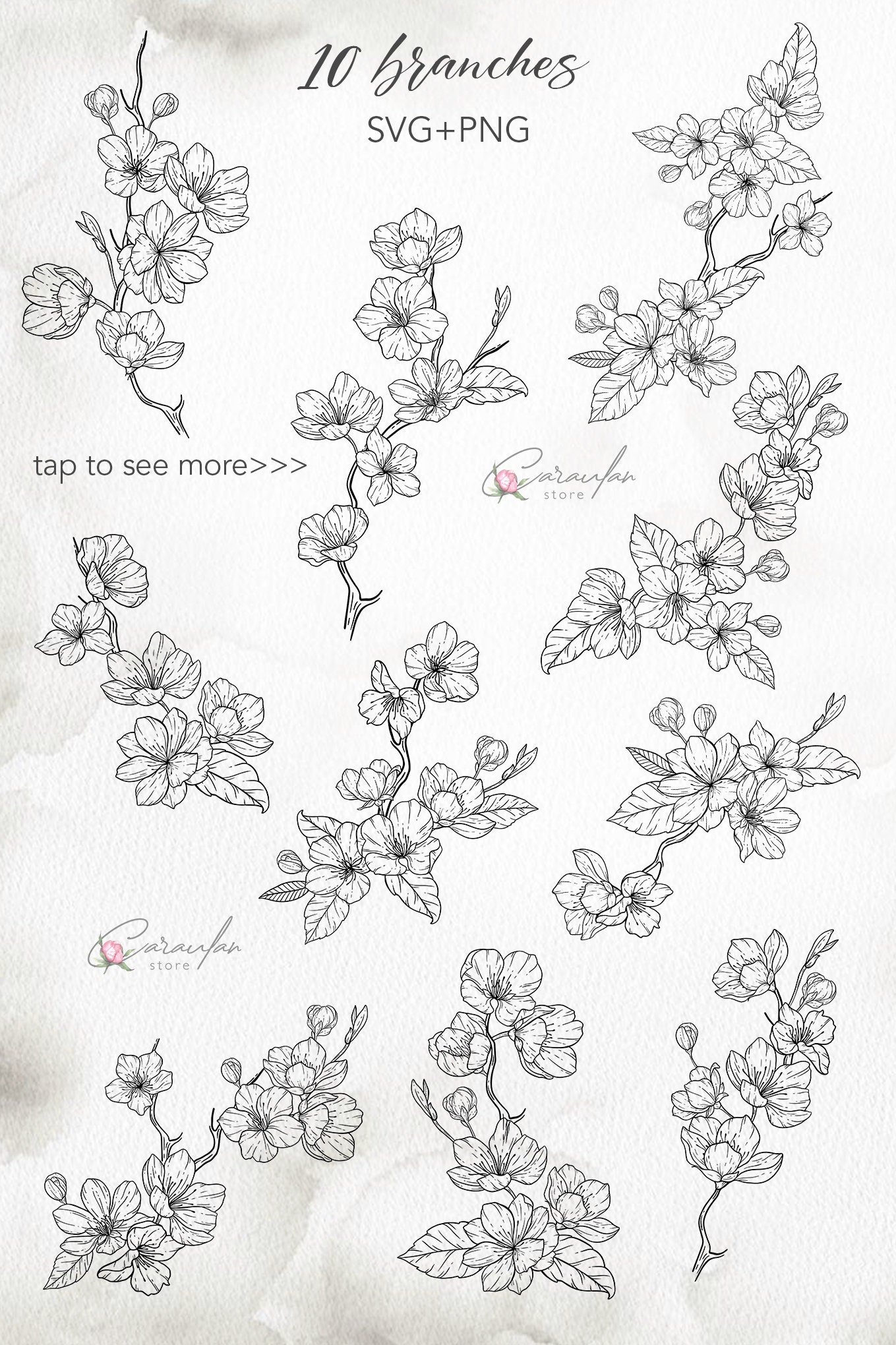Floral Line Illustratios, Botanical SVG Clipart, Sakura Line Art ...