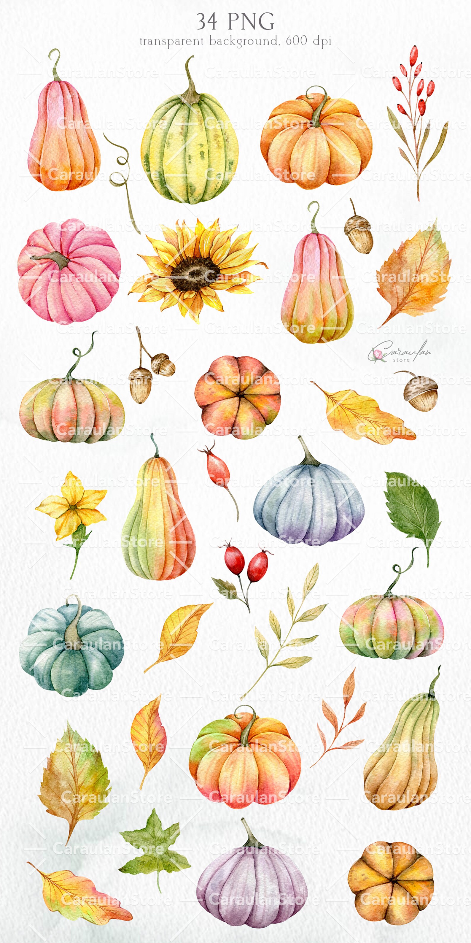 Pumpkin Watercolor Clipart, Pumpkin PNG, Watercolor Pumpkin Bundle ...