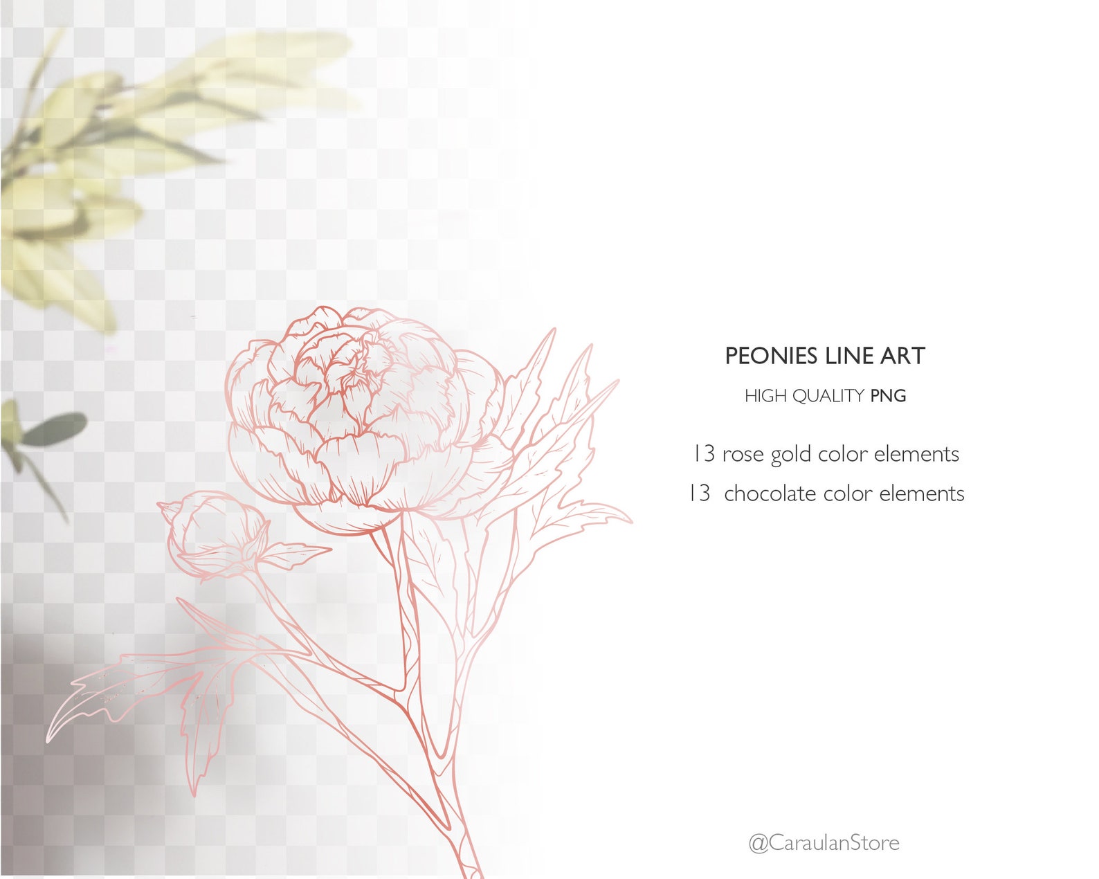 Peonies Line Art PNG Line Art Flowers Floral Bouquet - Etsy