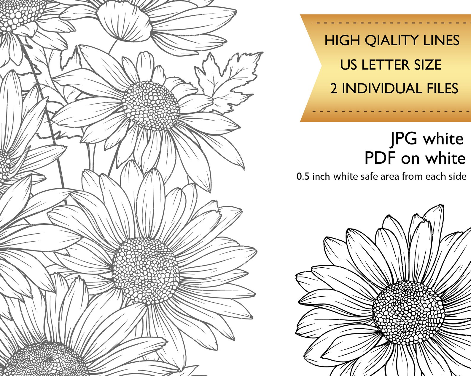Printable Adult Coloring Page, Flower Coloring Page for Adults, Daisy ...