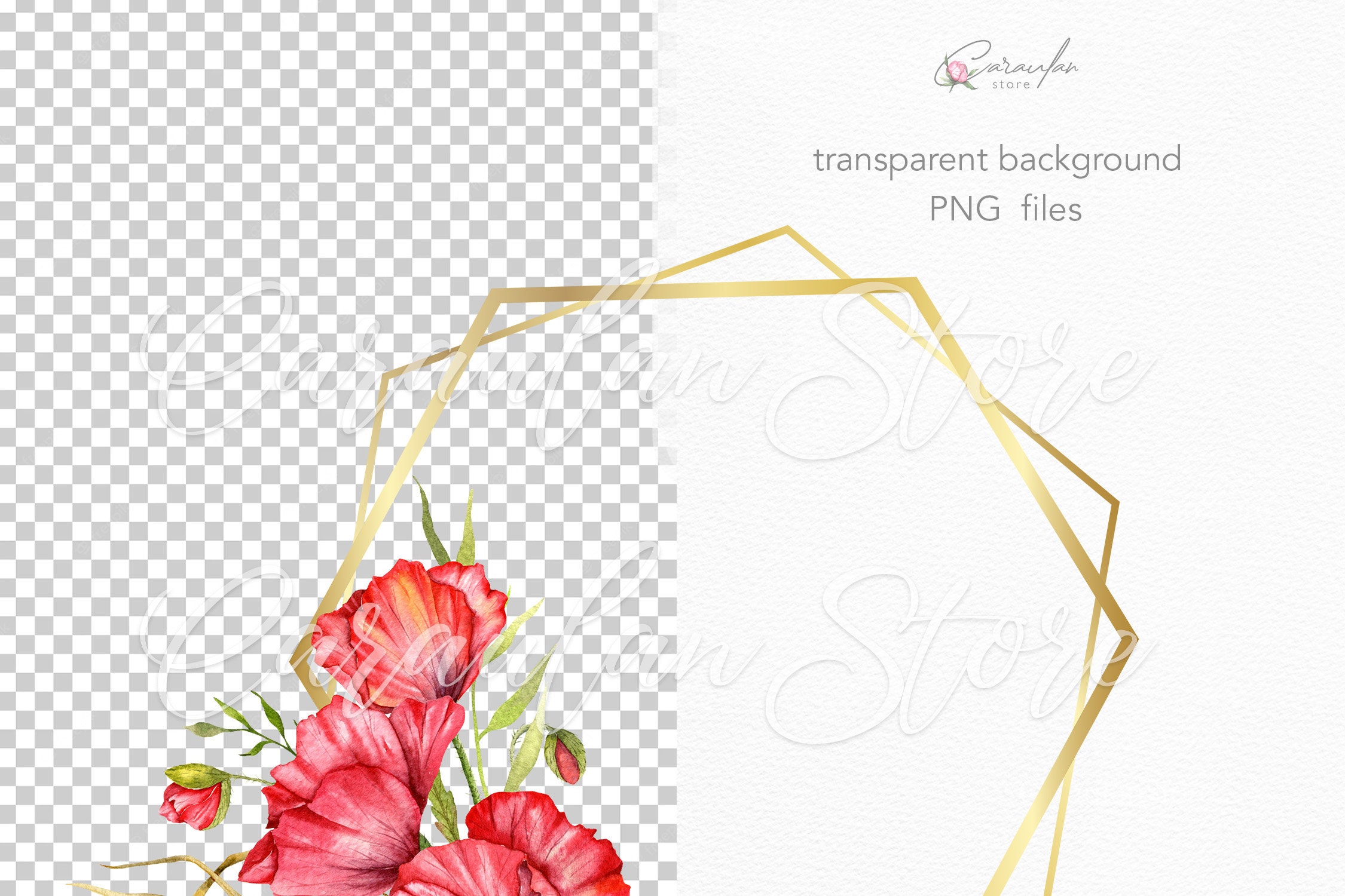 Poppy Clipart Watercolor, Poppy PNG, Summer Floral Frames PNG ...