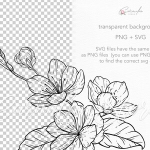 Floral Line Illustratios, Botanical SVG Clipart, Sakura Line Art ...