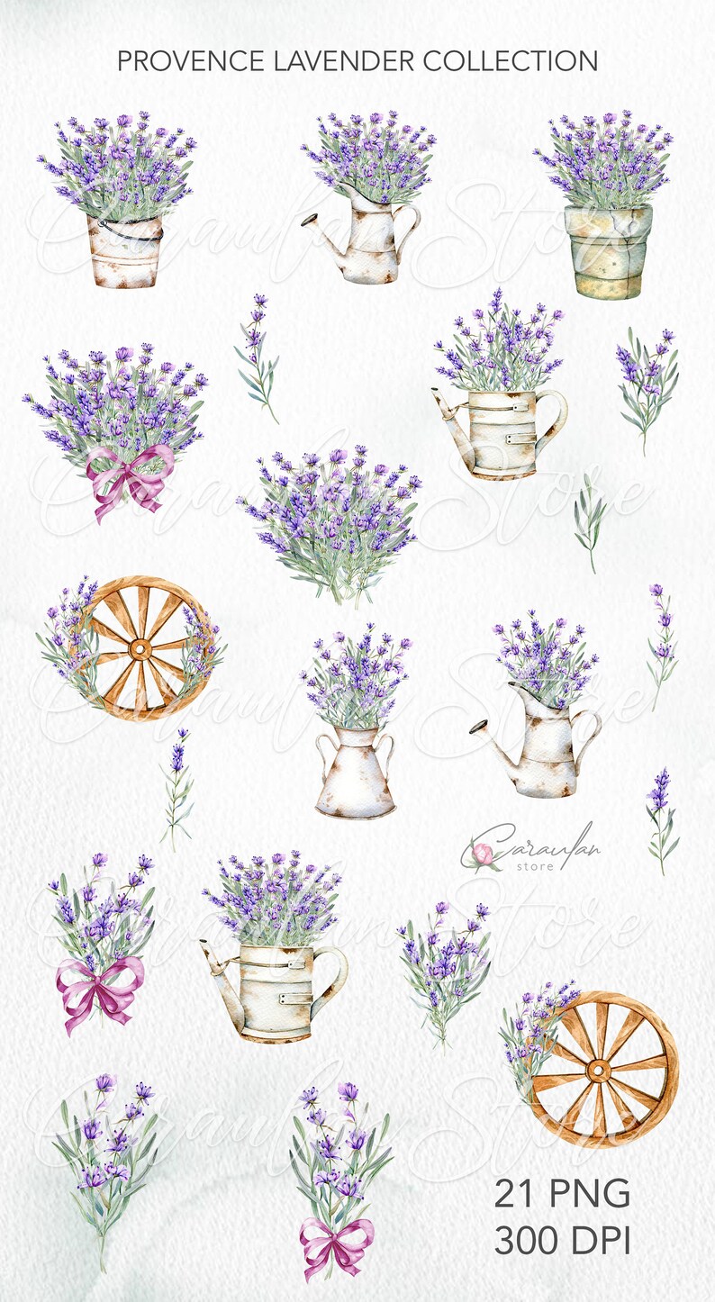 Lavender Watercolor Clipart: Provence Floral PNG (commercial Use ...