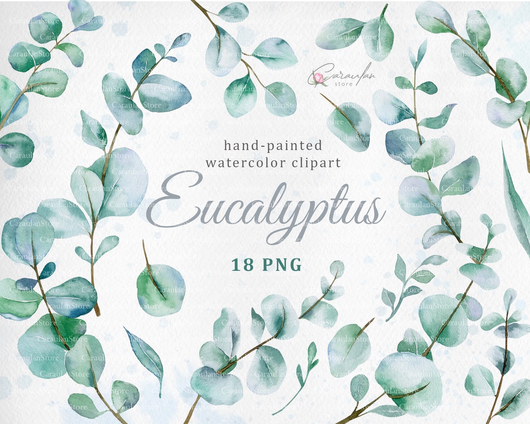 Watercolor Eucalyptus Clipart Watercolor Greenery Eucalyptus - Etsy