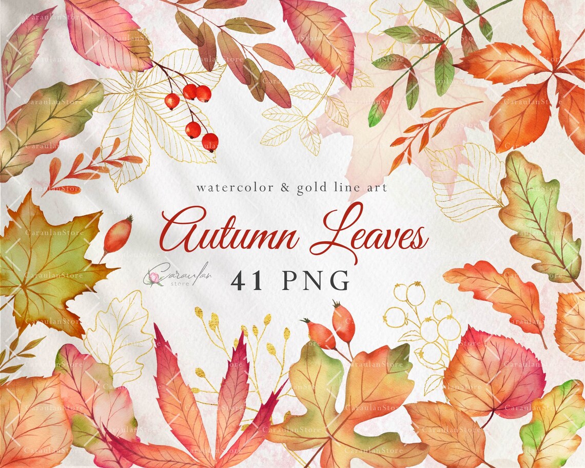 Autumn Leaves Watercolor Clipart, Fall Leaf Clip Art Watercolor ...